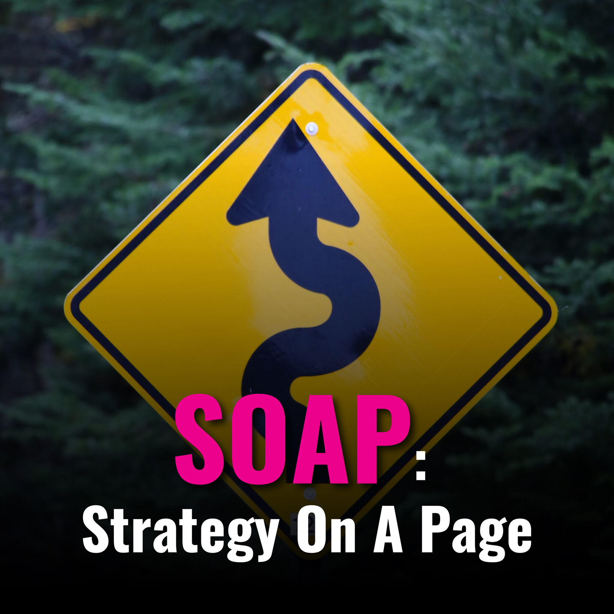 SOAP, Strategy On A Page, Business Coaching, Plans in Action